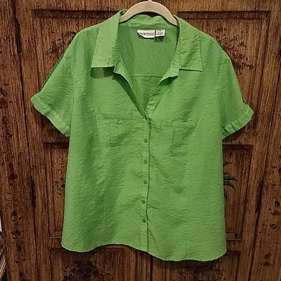 Apparenza | Tops | Textured Green Blouse | Poshmark